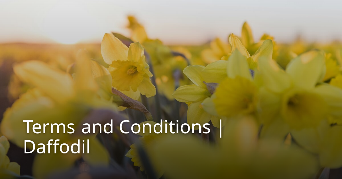 Terms and Conditions | Daffodil
